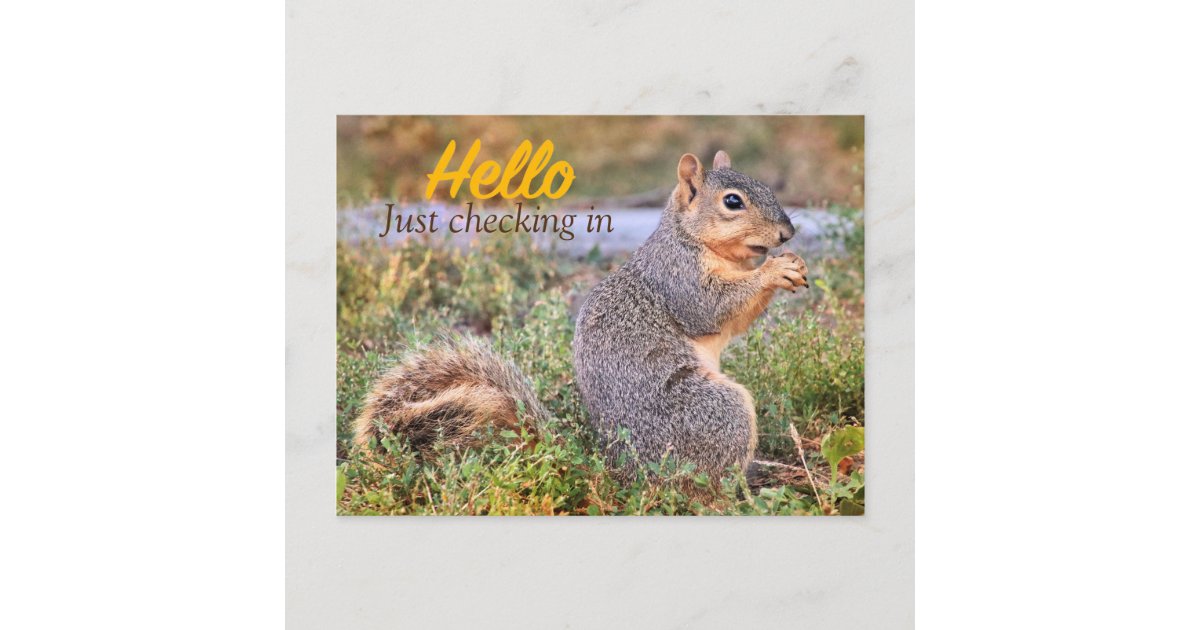 Hello Just Checking In Postcard | Zazzle