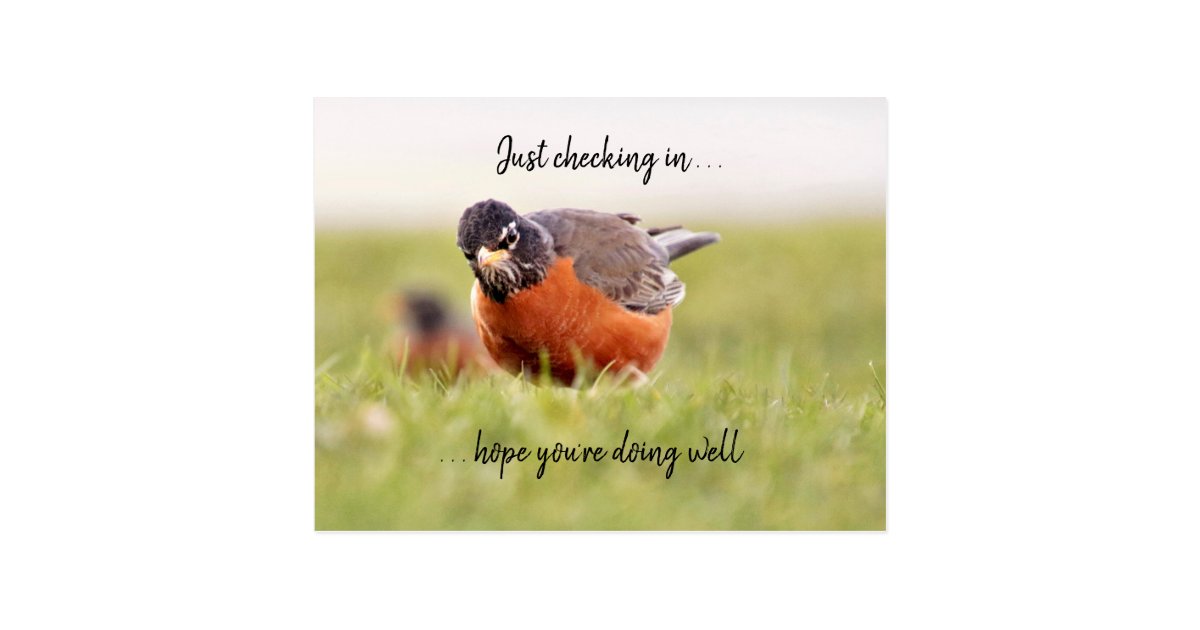 Hello--Just Checking In Postcard | Zazzle.com