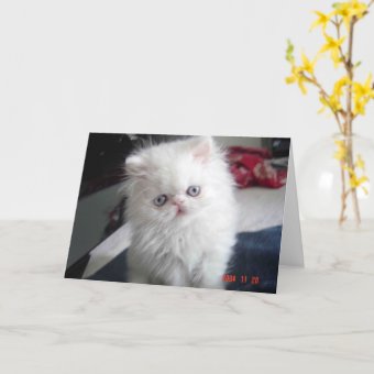 HELLO KITTY! CARD | Zazzle