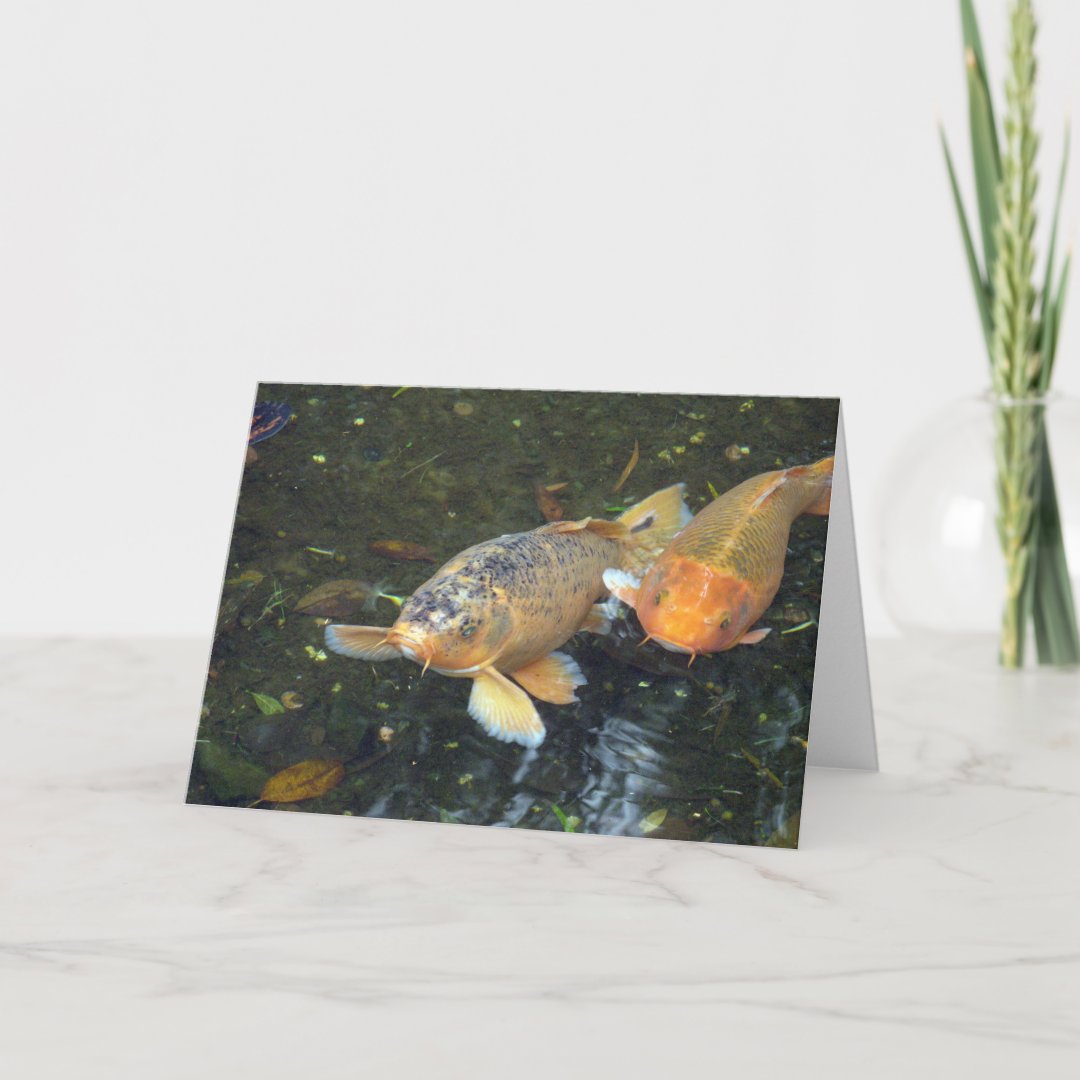 Hello Koi Birthday Card | Zazzle