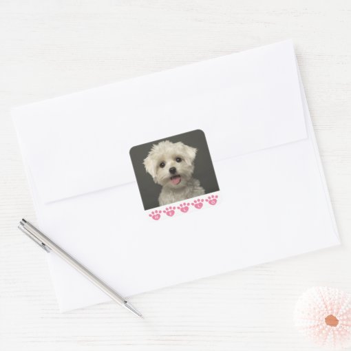 Hello Maltese Puppy Dog Stickers / Seals | Zazzle