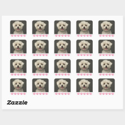 Hello Maltese Puppy Dog Stickers / Seals | Zazzle