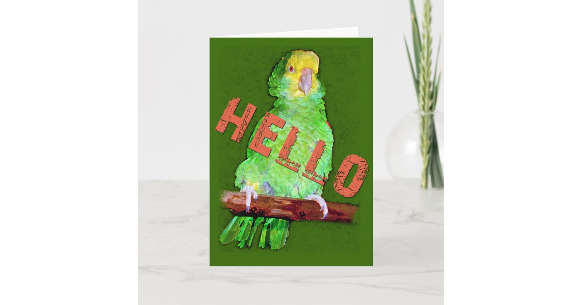 HELLO Parrot greeting card | Zazzle
