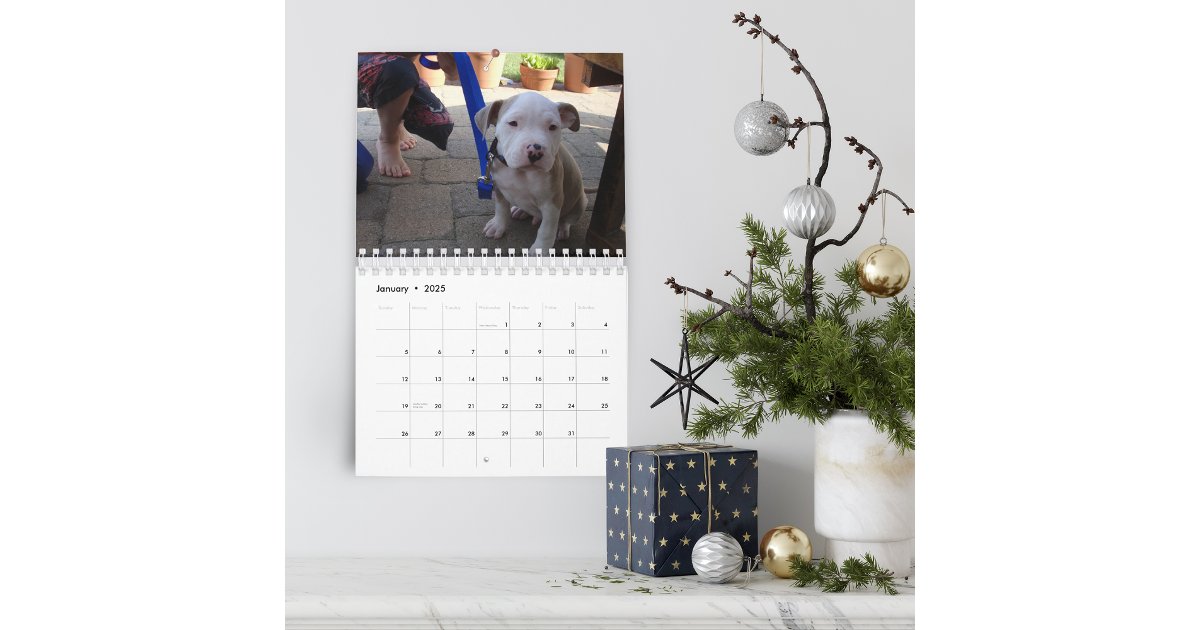 Hello Pet Puppy Custom Calendar | Zazzle