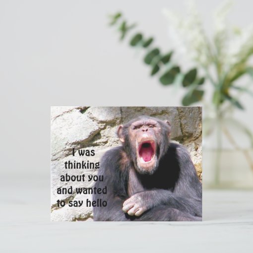 Hello_ Postcard | Zazzle