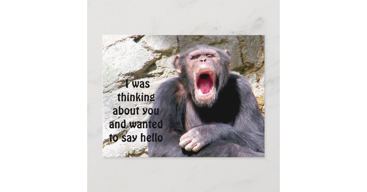 Hello_ Postcard | Zazzle