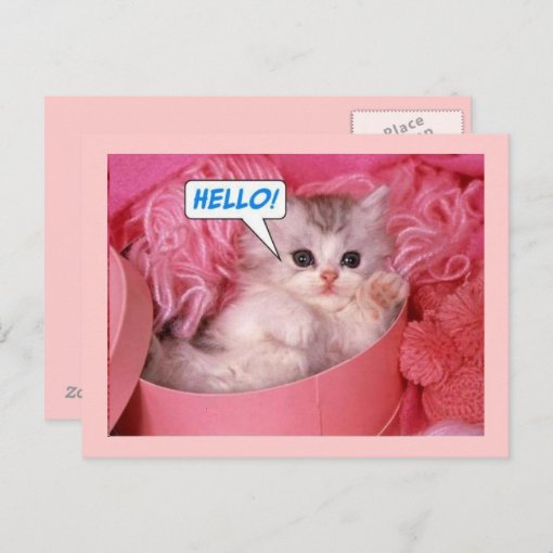 Hello Postcard | Zazzle