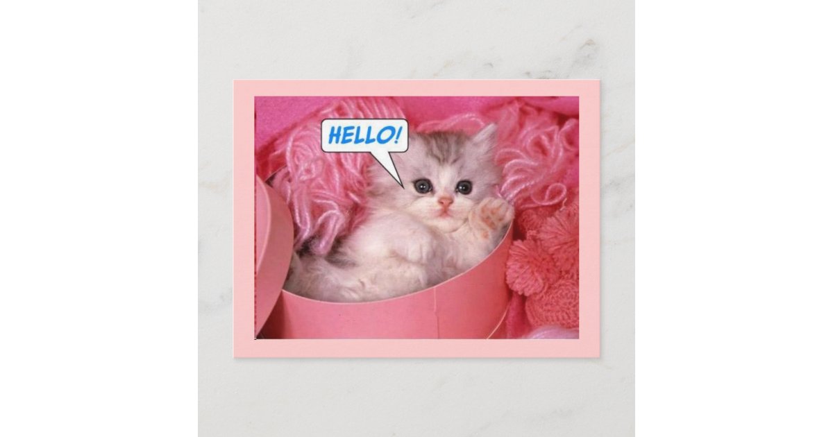 Hello Postcard | Zazzle