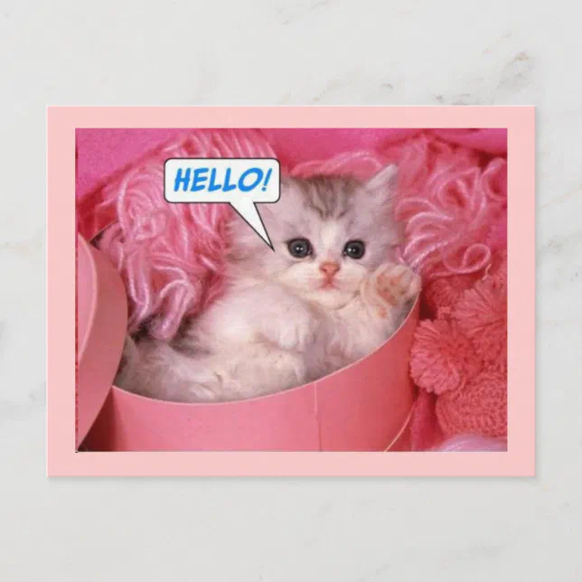 Hello Postcard | Zazzle