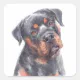 Hello Rottie Puppy Dog Watercolor Rottweiler Square Sticker | Zazzle