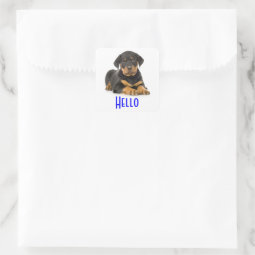 Hello Rottweiler Puppy Dog Greeting Stickers | Zazzle