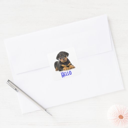 Hello Rottweiler Puppy Dog Greeting Stickers | Zazzle