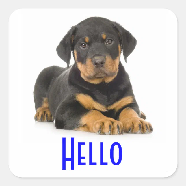 Hello Rottweiler Puppy Dog Greeting Stickers | Zazzle