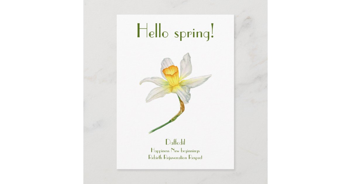 Hello spring daffodil with meaning Postcard | Zazzle