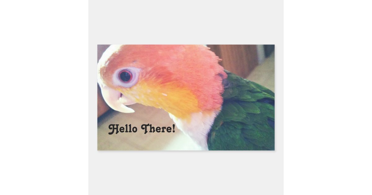 Hello There Bird Rectangular Sticker | Zazzle