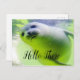 Hello There Cute Seal Postcard | Zazzle