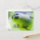 Hello There Cute Seal Postcard | Zazzle