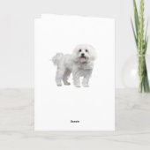 Hello White Maltese Puppy Dog Thinking Of You Card | Zazzle