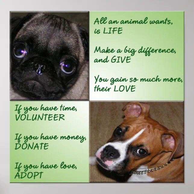 Help Animals Poster | Zazzle