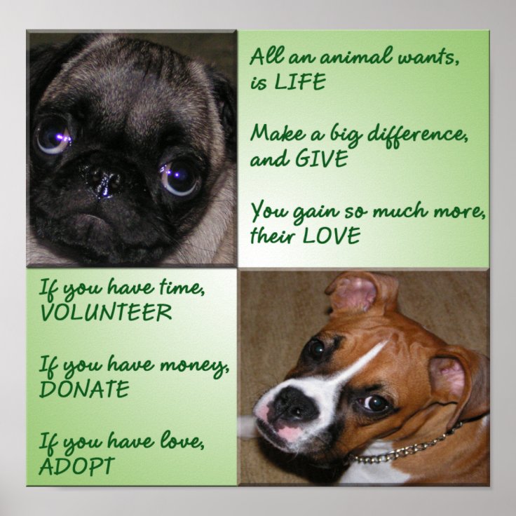 Help Animals Poster | Zazzle