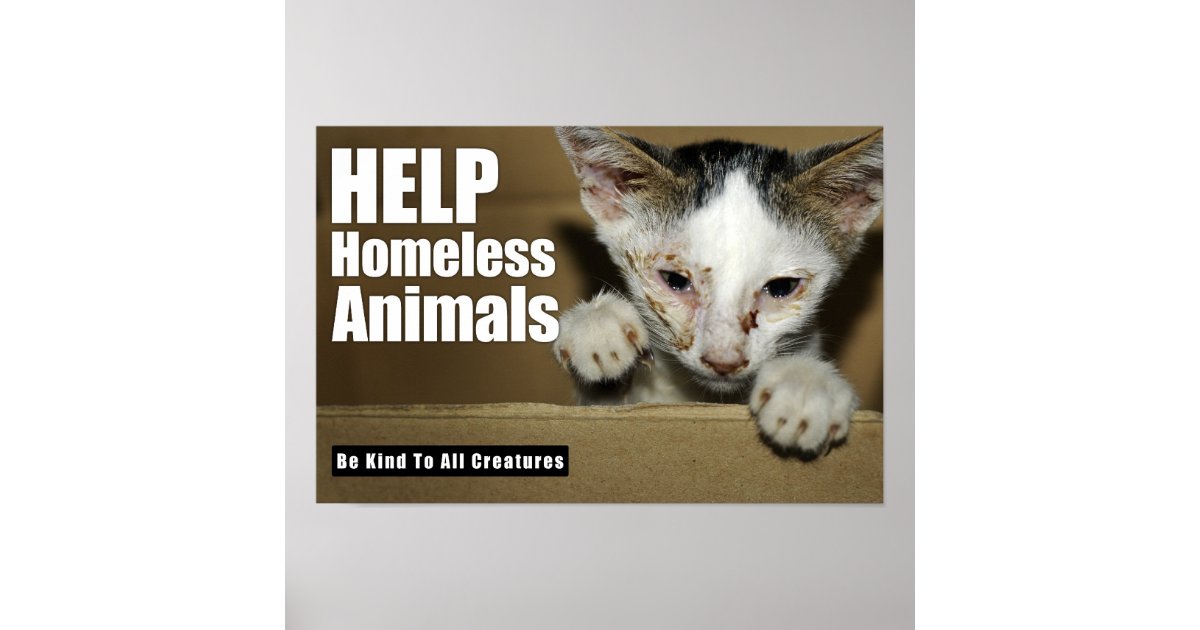 Help Homeless Animal Poster | Zazzle