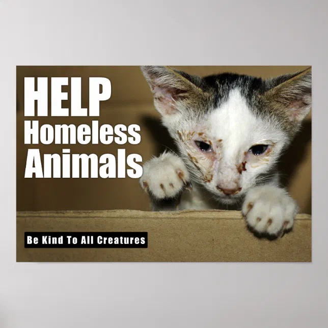 Help Homeless Animal Poster | Zazzle