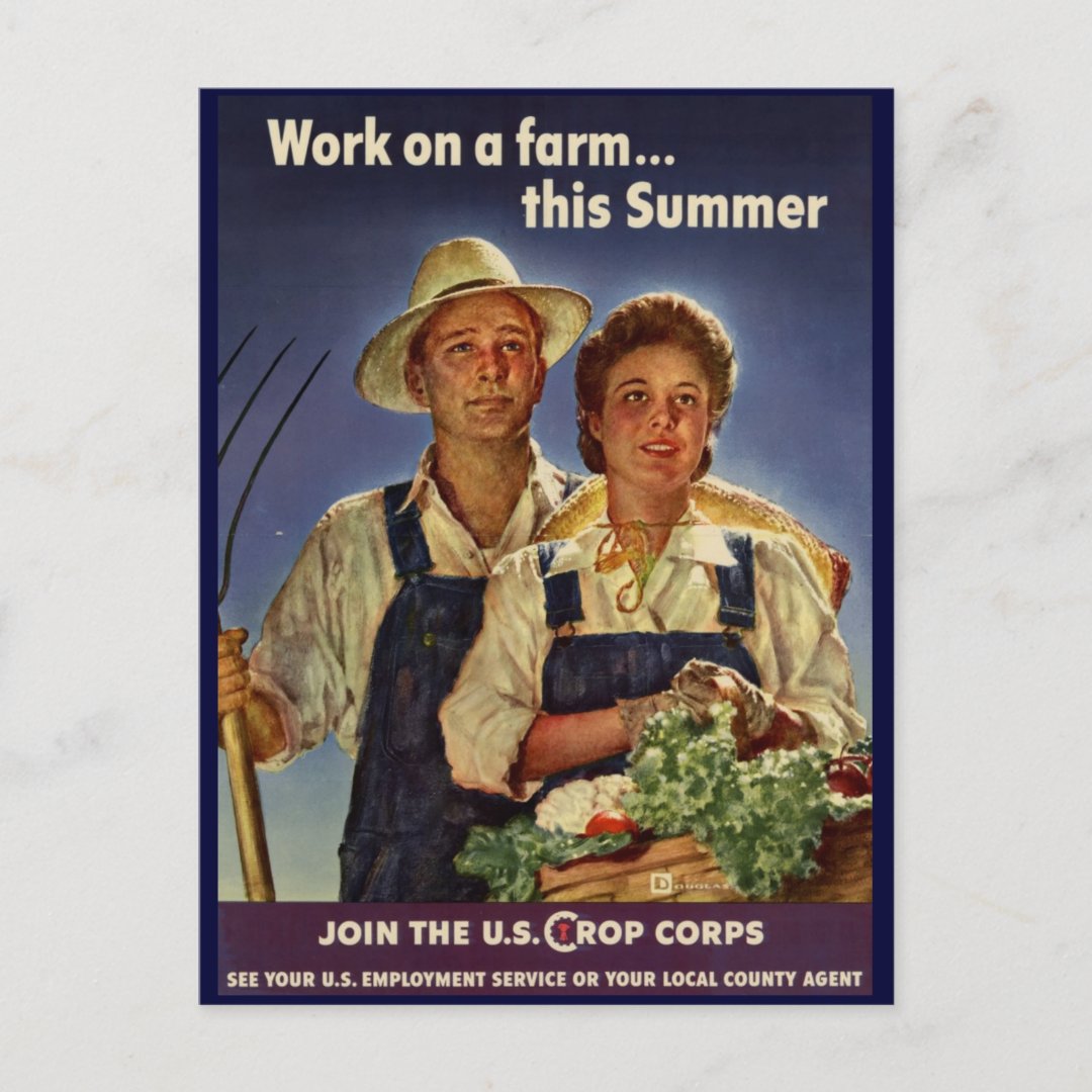 Helping on the Farm Conservation During WWII Postcard | Zazzle