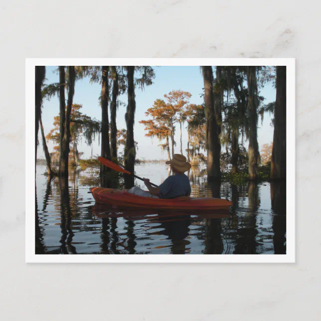 Henderson Swamp PostCard | Zazzle