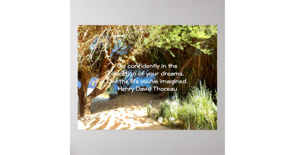Henry David Thoreau Motivational Dream Quotation Poster | Zazzle