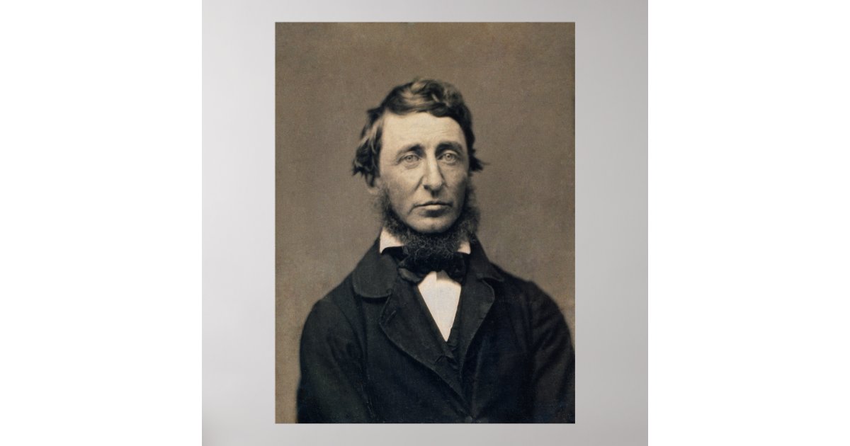 Henry David Thoreau Portrait Maxham daguerreotype Poster | Zazzle
