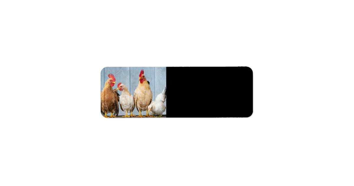 Hens and Chicks Label | Zazzle