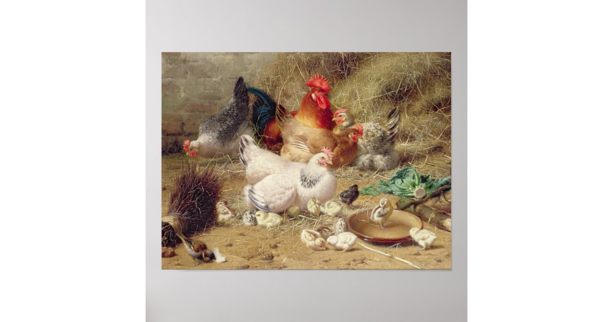 Hens roosting with their chickens poster | Zazzle