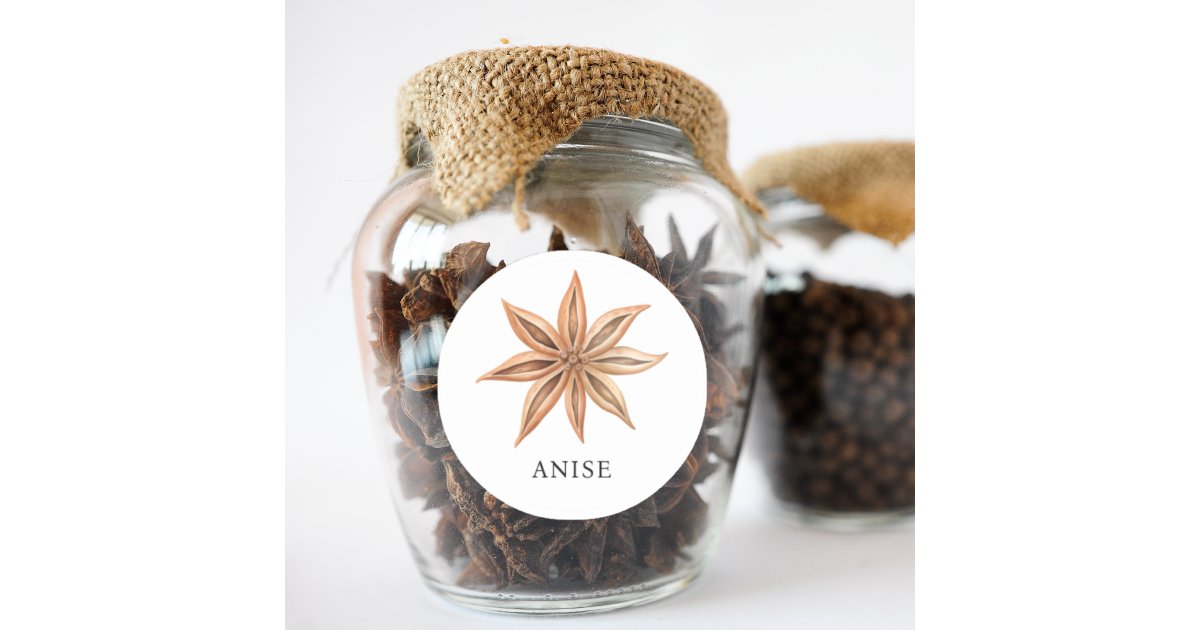 Herb Anise Watercolor Classic Round Sticker | Zazzle