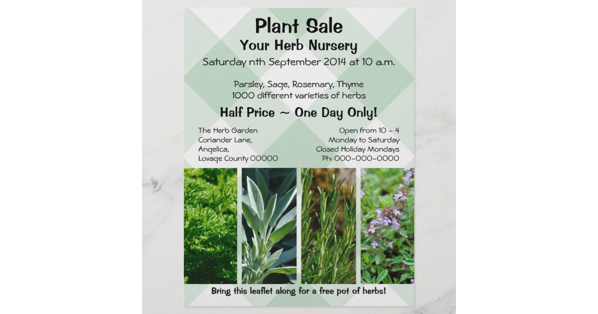 Herb plants promotional sales flyer | Zazzle