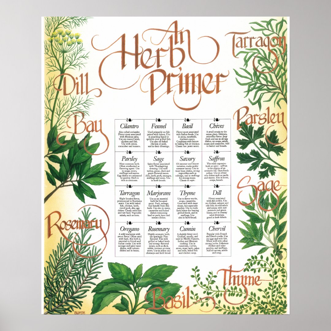 Herb Primer poster print | Zazzle