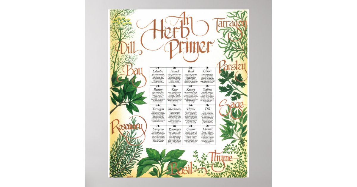 Herb Primer poster print | Zazzle