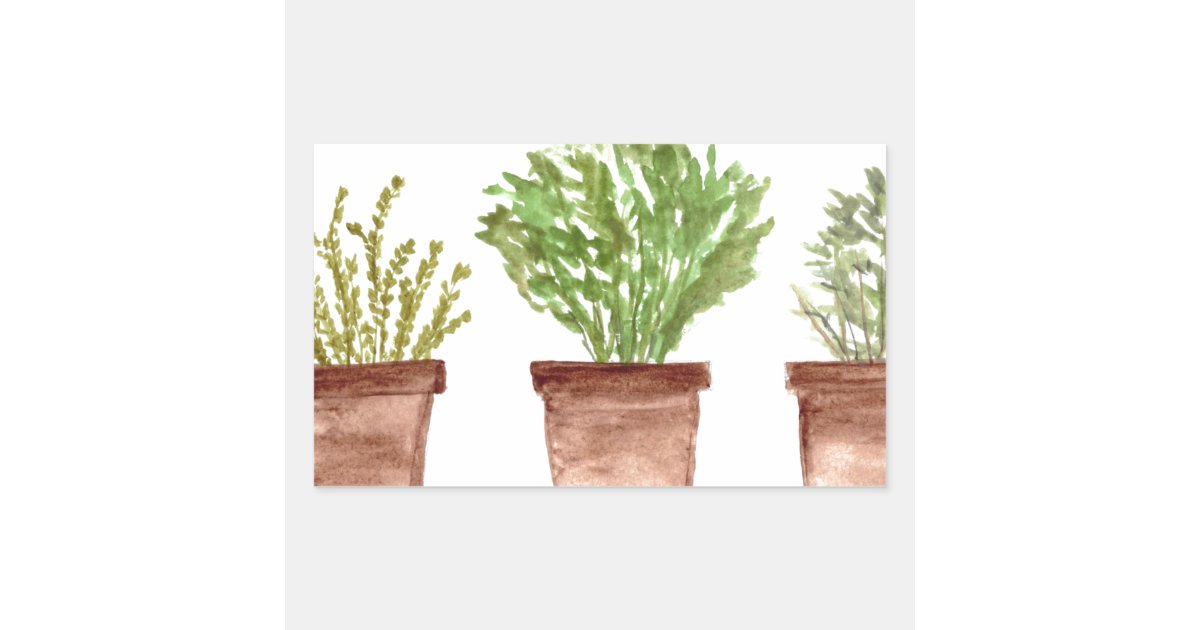 Herbs sage, rosemary, thyme rectangular sticker | Zazzle