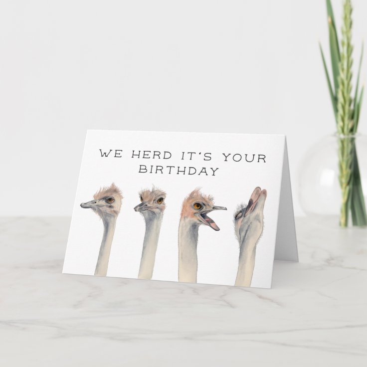 Herd Its Your Birthday | Ostrich Birds Card | Zazzle