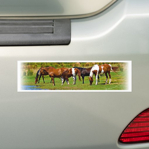 Herd of Horses Bumper Sticker | Zazzle