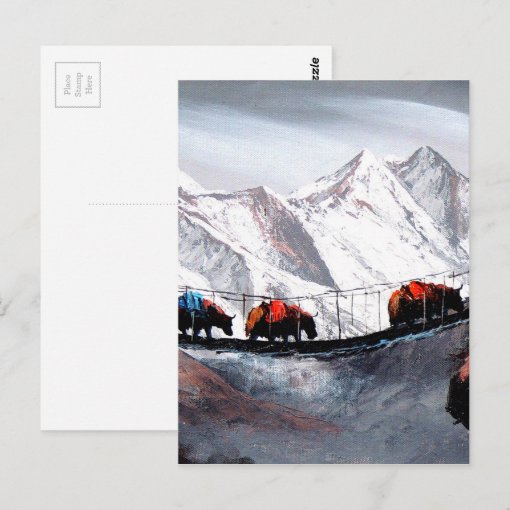 Herd Of Mountain Yaks Himalaya Postcard | Zazzle