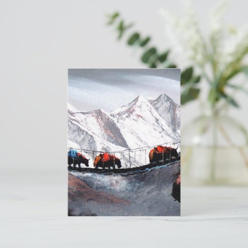 Herd Of Mountain Yaks Himalaya Postcard | Zazzle