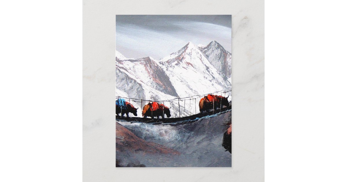Herd Of Mountain Yaks Himalaya Postcard | Zazzle