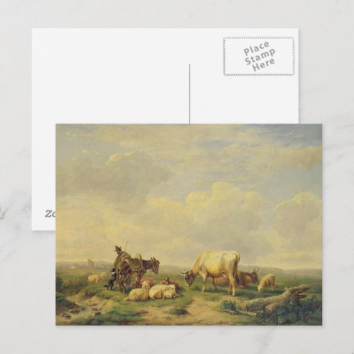 Herdsman and Herd, c.1880 Postcard | Zazzle