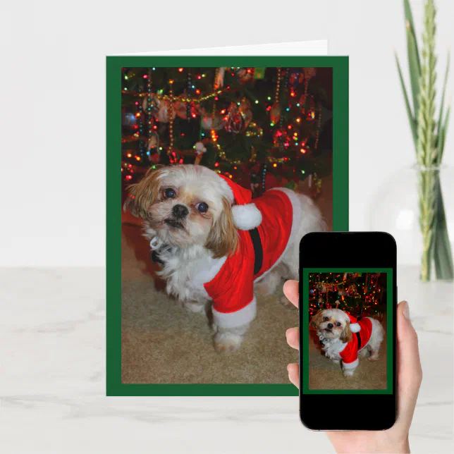 Here Comes Santa Paws! Card | Zazzle