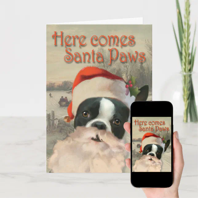 Here Comes Santa Paws Holiday Card | Zazzle