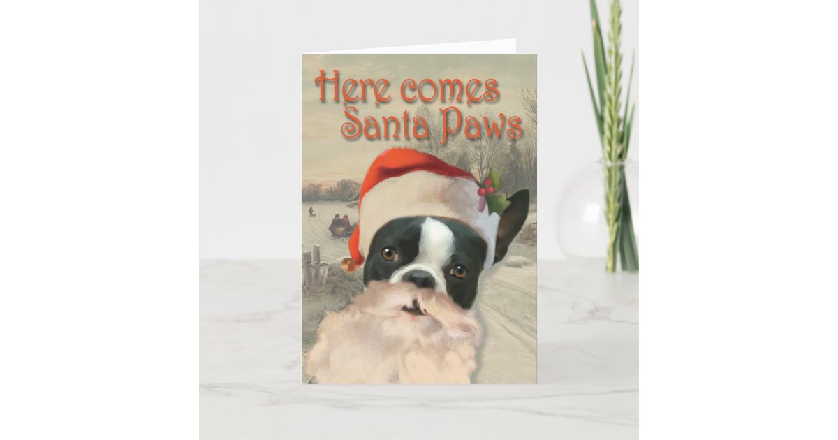 Here Comes Santa Paws Holiday Card | Zazzle