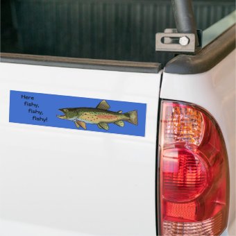 Here fishy Bumper Sticker | Zazzle
