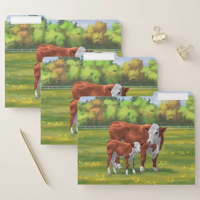 Hereford Cow & Cute Calf in Summer Pasture File Folder | Zazzle