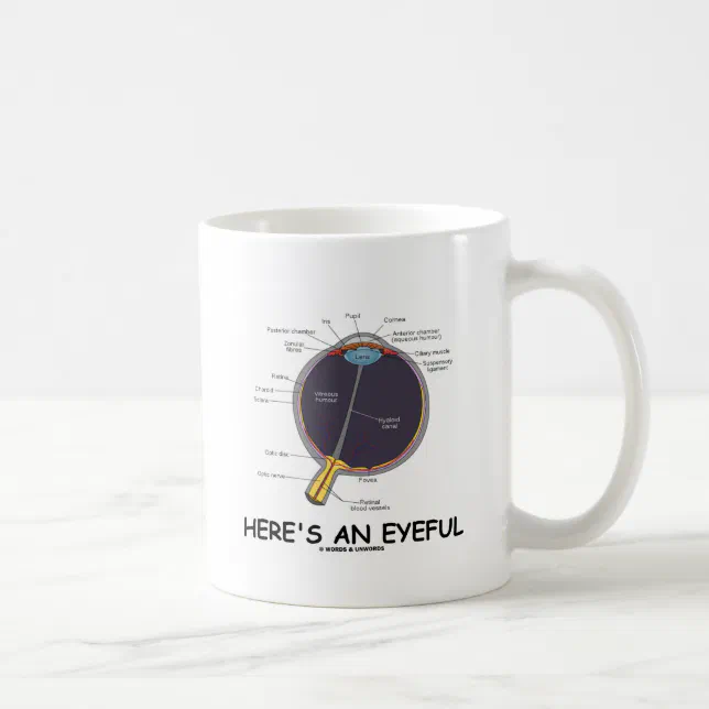 Here's An Eyeful (Eye Anatomy Humor) Coffee Mug | Zazzle