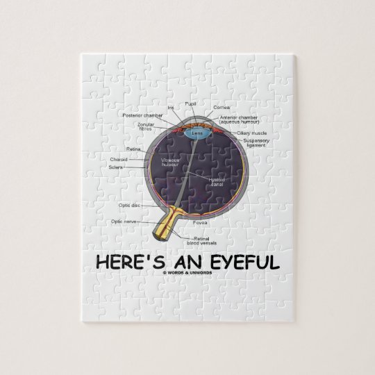 Here's An Eyeful (Eye Anatomy Humor) Jigsaw Puzzle | Zazzle.com